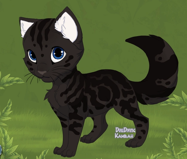 Granite | Warriors OC's Wiki | Fandom