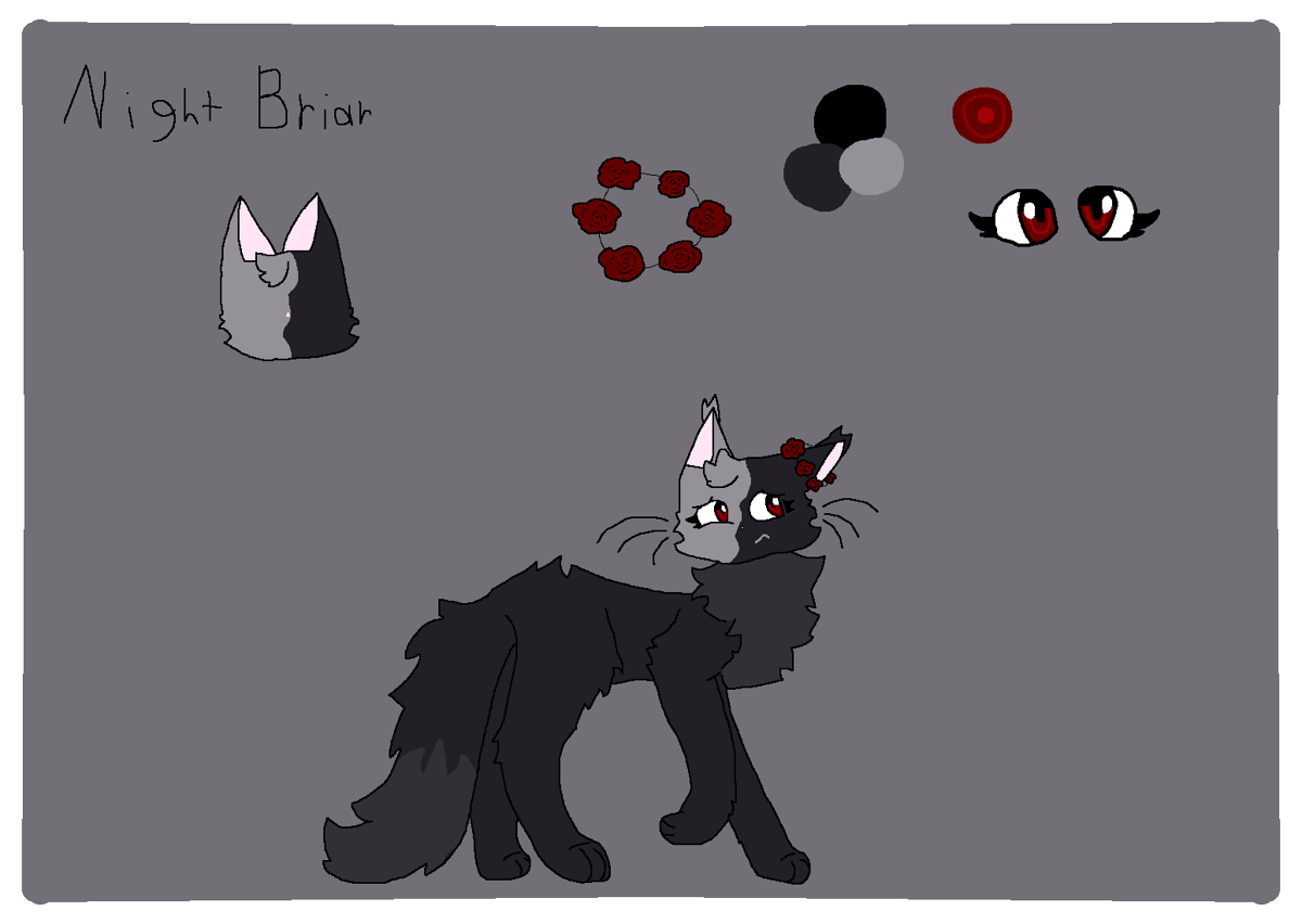 Nightbriar | Warriors OC's Wiki | Fandom