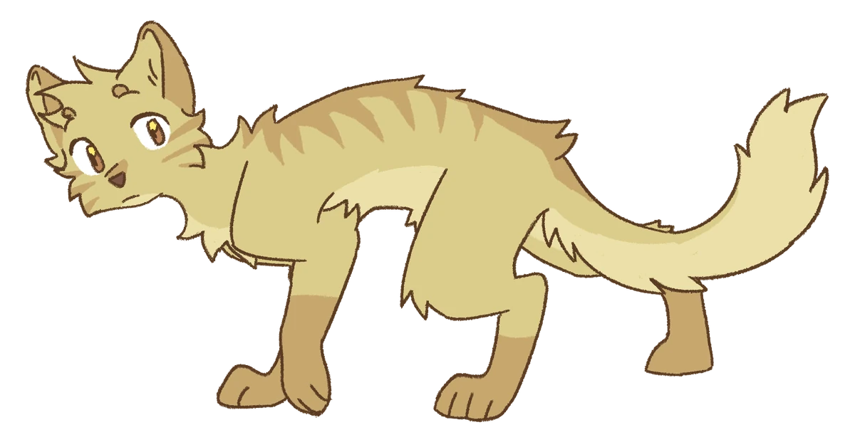 Willowkit (FF) | Warriors OC's Wiki | Fandom