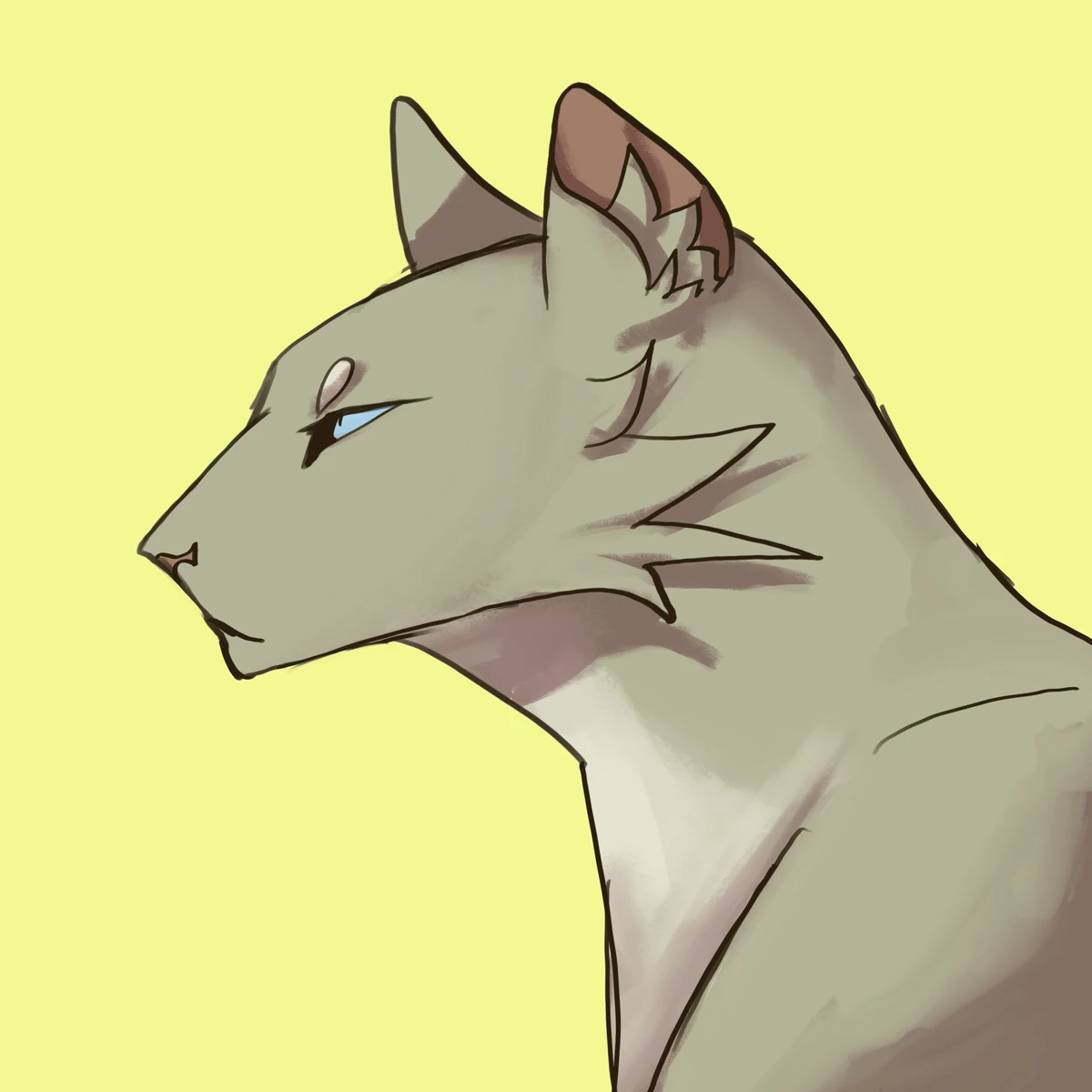 Cloudystar (BH) | Warriors OC's Wiki | Fandom