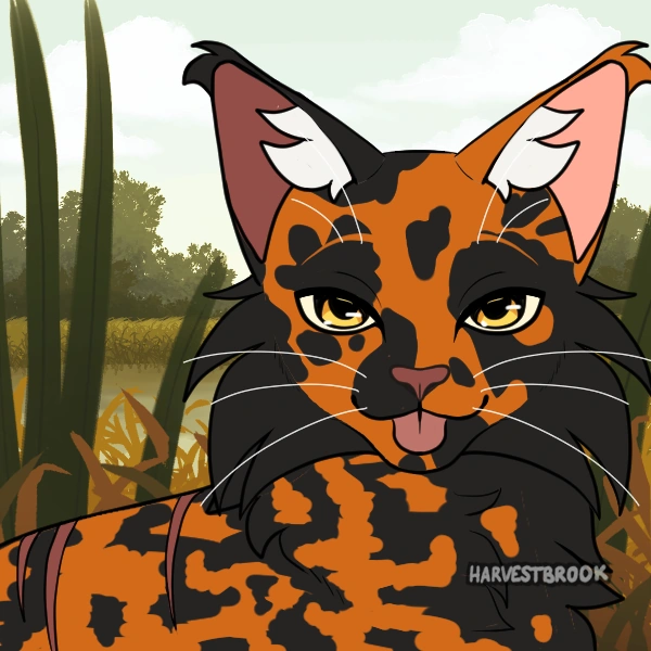 Dawnpath | Warriors OC's Wiki | Fandom