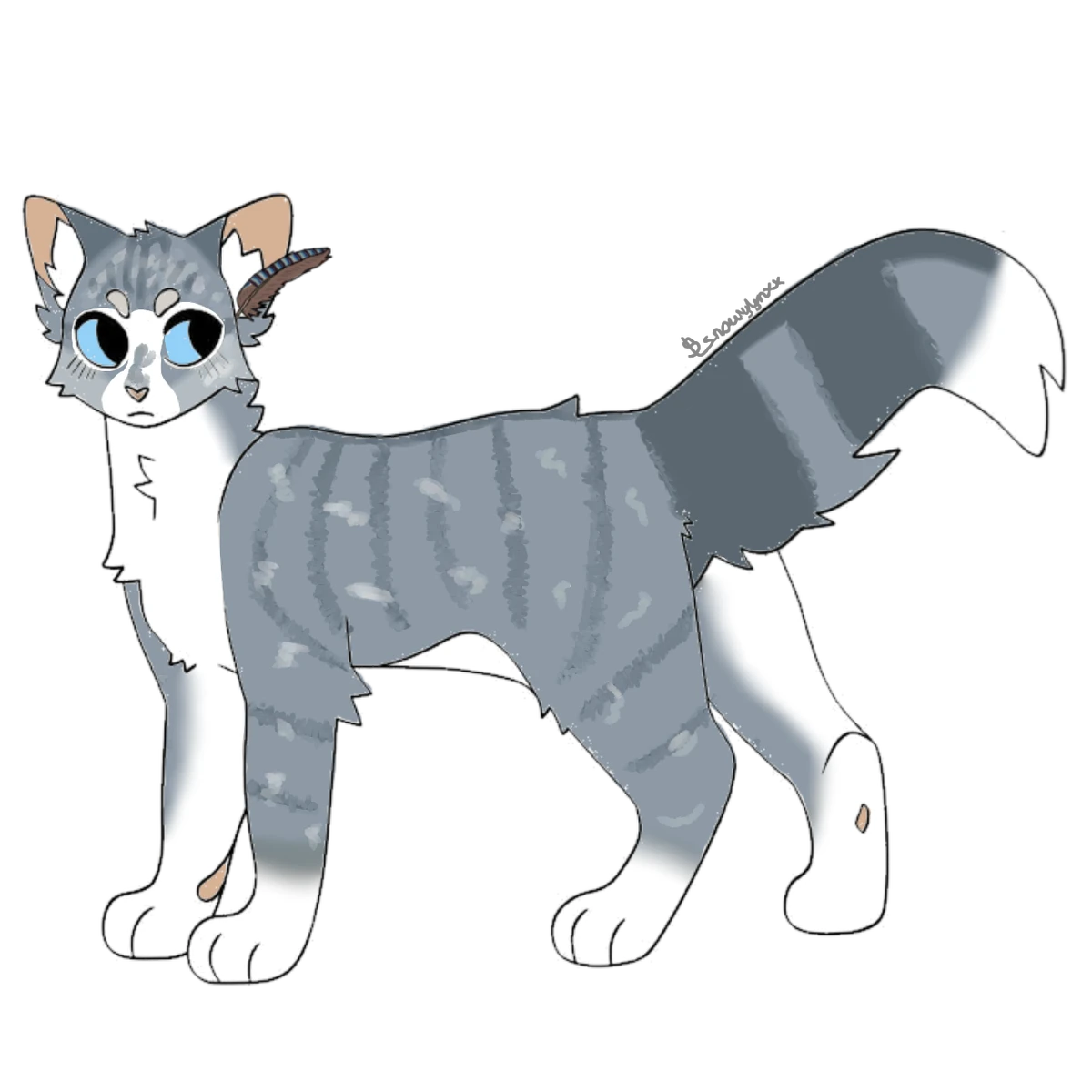 Jay Tail | Warriors OC's Wiki | Fandom