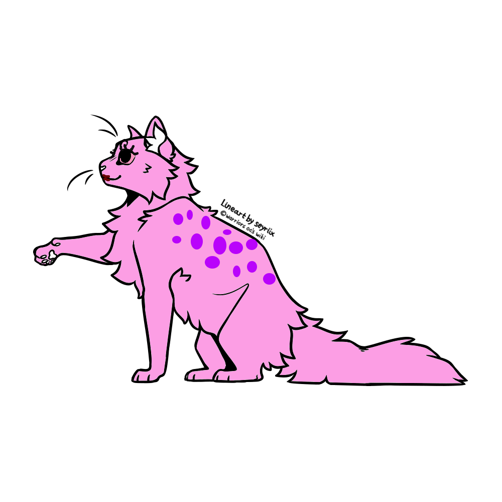 Preppywisp | Warriors OC's Wiki | Fandom