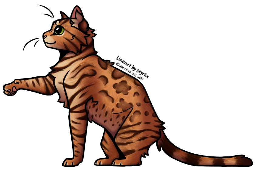 Leopardnose | Warriors OC's Wiki | Fandom