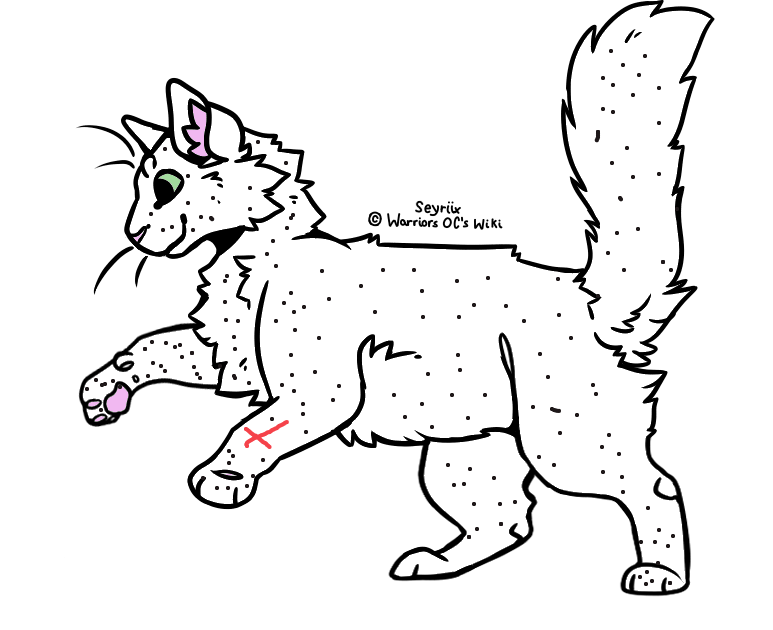 Whiteflash (LS) | Warriors OC's Wiki | Fandom