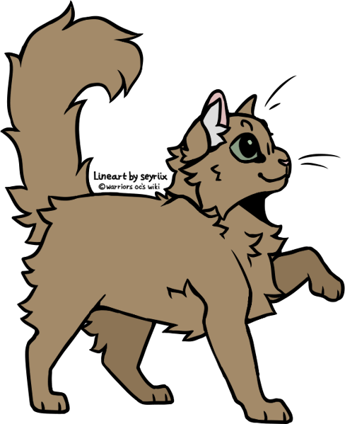 Oakkit (TC) | Warriors OC's Wiki | Fandom