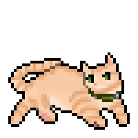 Tall Peak | Warriors OC's Wiki | Fandom