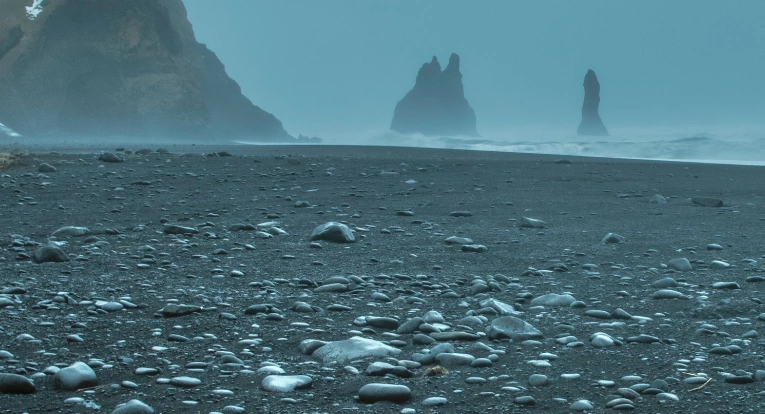 Black Sand Colony | Warriors OC's Wiki | Fandom