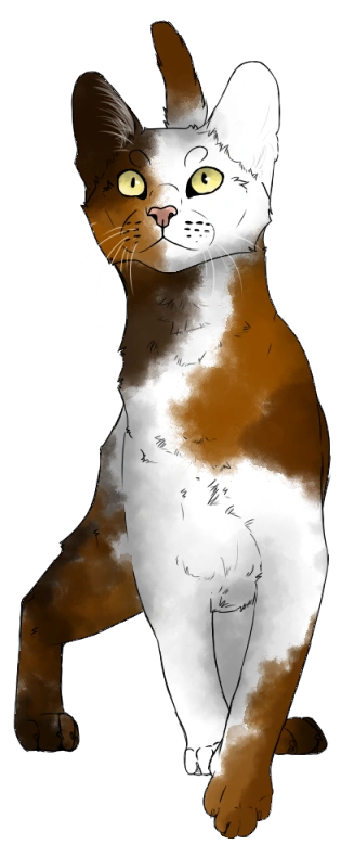 Reedpaw | Warriors OC's Wiki | Fandom