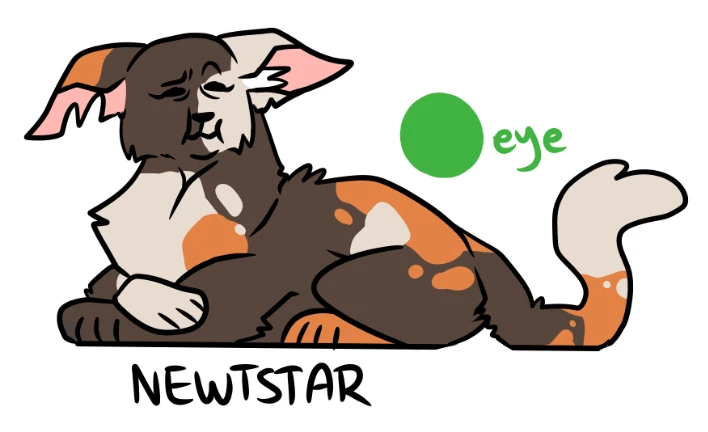 Newtstar | Warriors OC's Wiki | Fandom