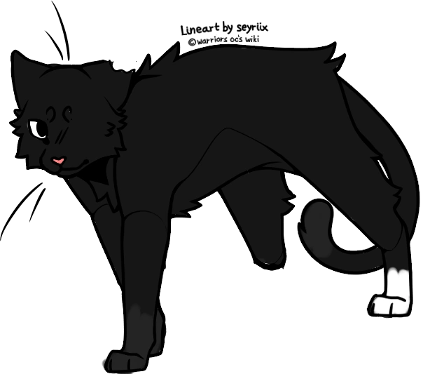 Patch Eye | Warriors OC's Wiki | Fandom