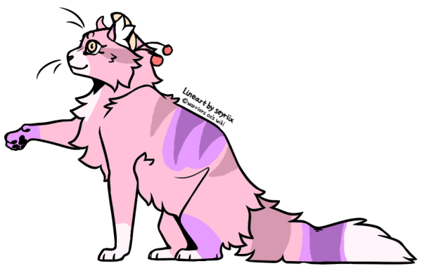 Preppywisp | Warriors OC's Wiki | Fandom