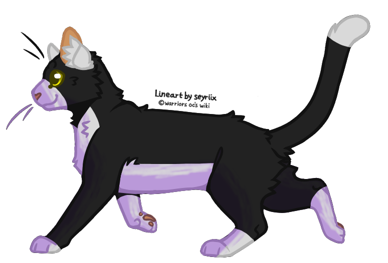 Lakepaw | Warriors OC's Wiki | Fandom