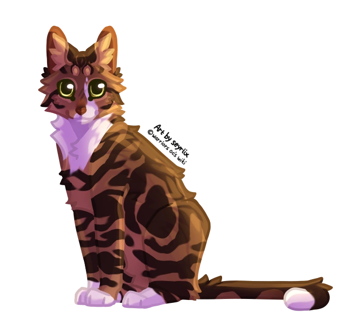 Stoatstar | Warriors OC's Wiki | Fandom