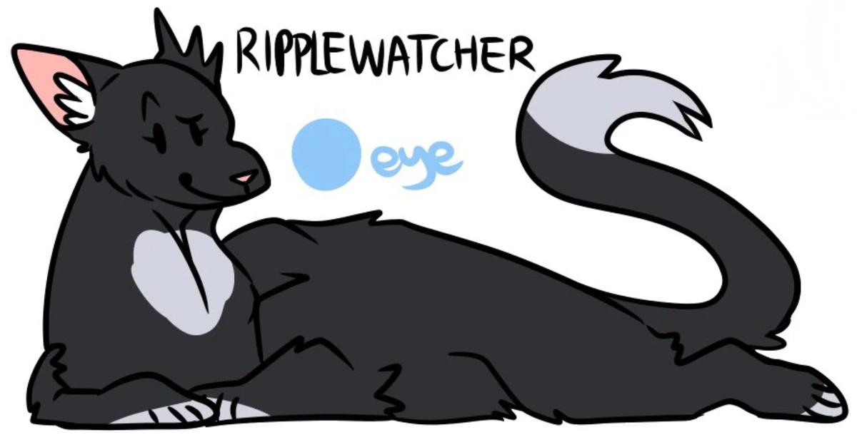 Ripplewatcher | Warriors OC's Wiki | Fandom