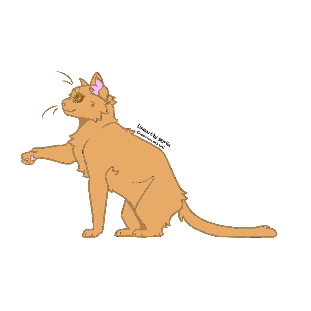 Firbranch | Warriors OC's Wiki | Fandom