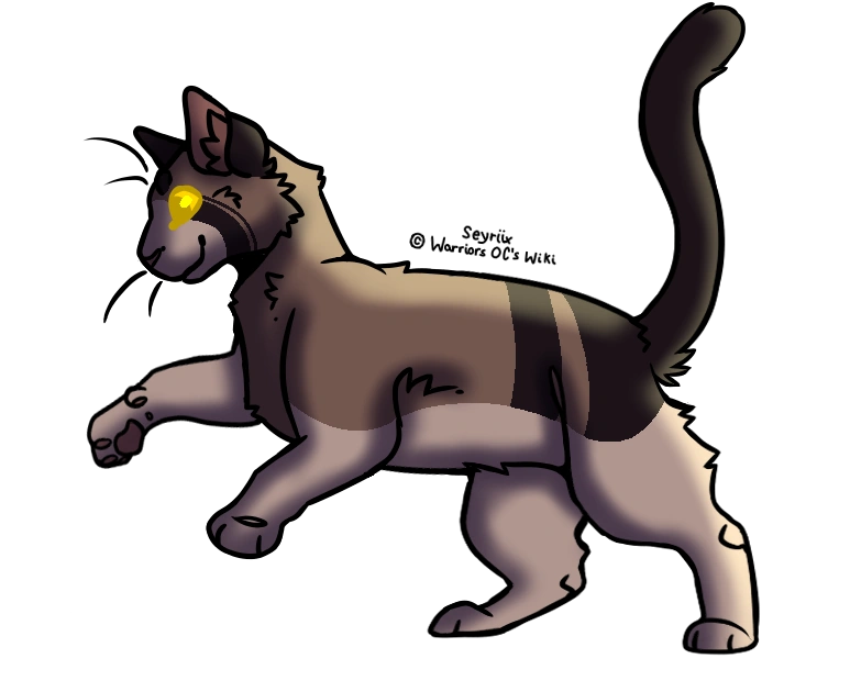 Maplewing (ShC) | Warriors OC's Wiki | Fandom