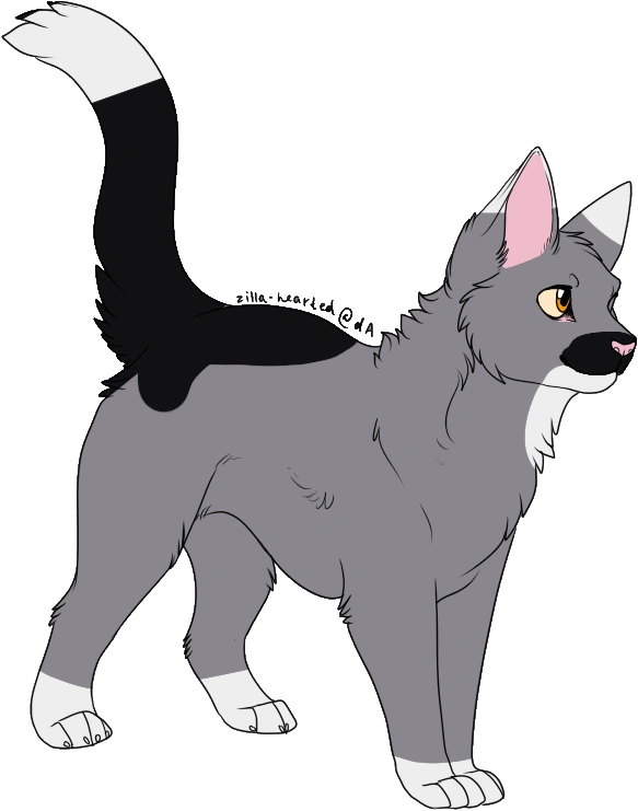 Darkwisker | Warriors OC's Wiki | Fandom