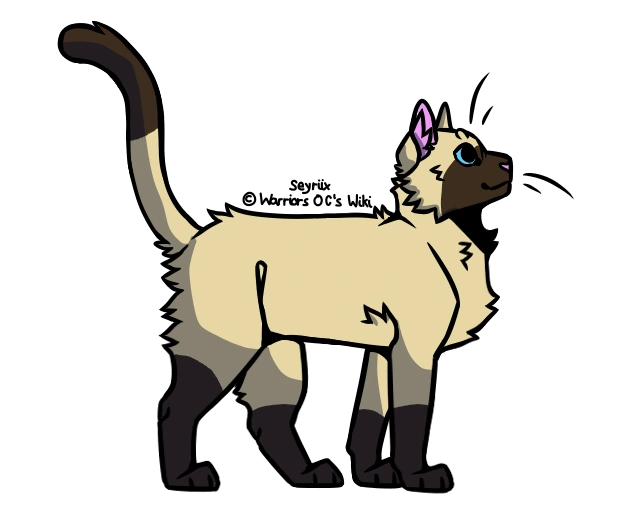 Dragonfly's Wings | Warriors OC's Wiki | Fandom