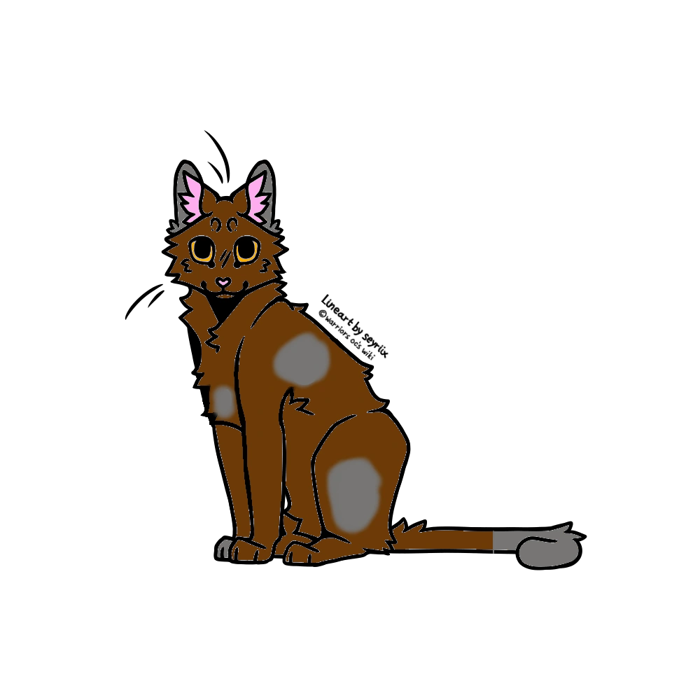 Shroudstar | Warriors OC's Wiki | Fandom