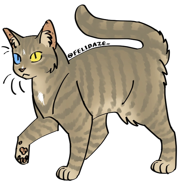 Hazepounce (AF) | Warriors OC's Wiki | Fandom