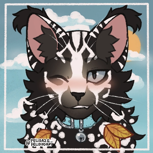 Swiper OC | Warriors OC's Wiki | Fandom