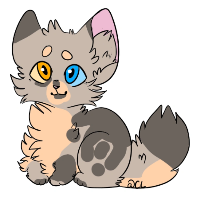 SharpKit | Warriors OC's Wiki | Fandom
