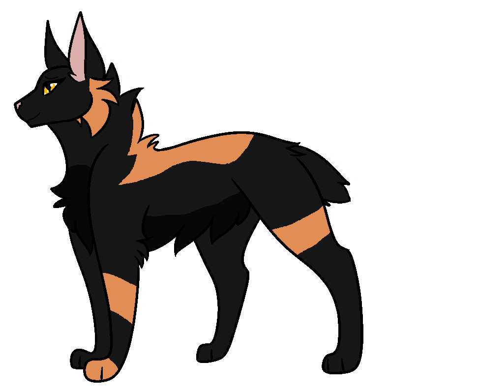 Flamewing (TC) | Warriors OC's Wiki | Fandom