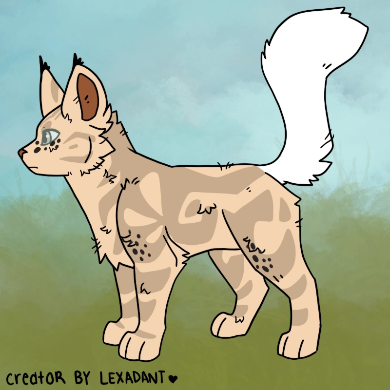 Whiskerkit(SC) | Warriors OC's Wiki | Fandom