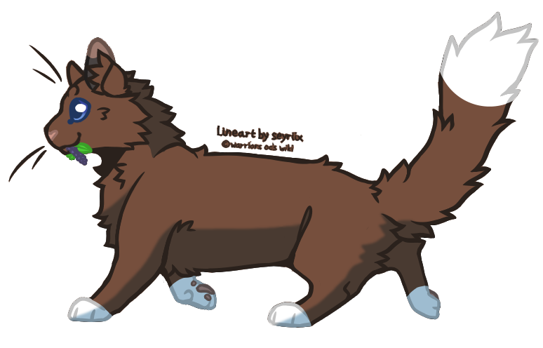 Cocopaw | Warriors OC's Wiki | Fandom