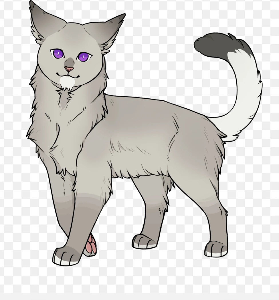 Dry Rock | Warriors OC's Wiki | Fandom