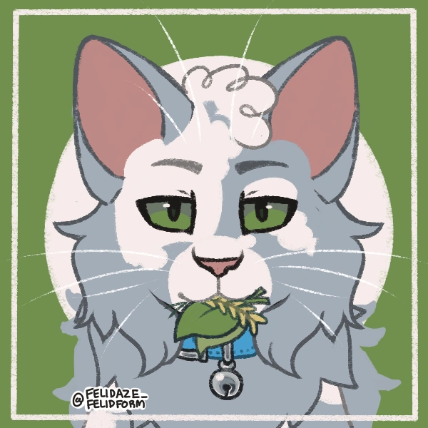 Butterfly (KlutzFurby) | Warriors OC's Wiki | Fandom