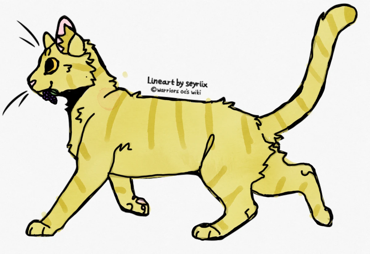 Sunnypaw | Warriors OC's Wiki | Fandom