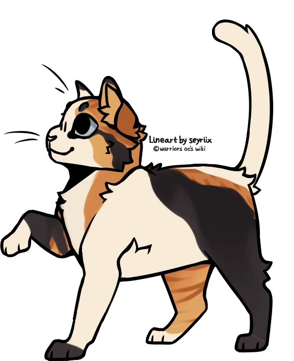 Sunkit (tB) | Warriors OC's Wiki | Fandom