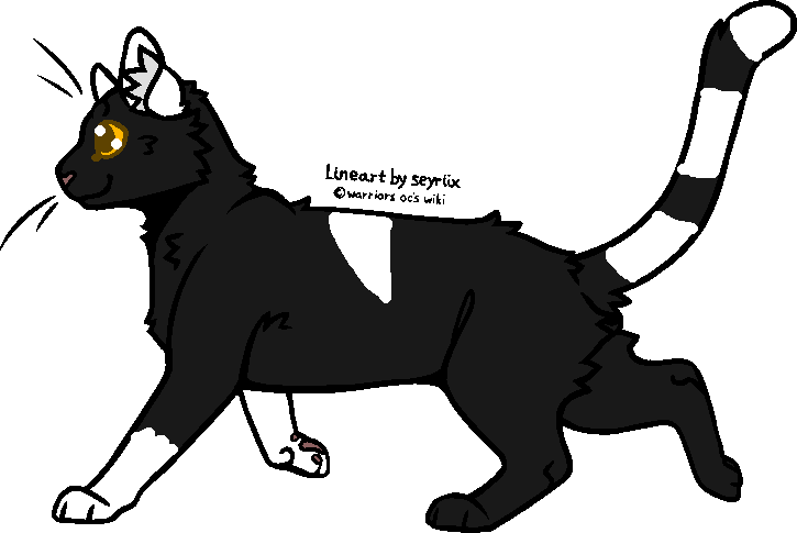 Nightpaw Rwtw Warriors Ocs Wiki Fandom