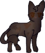 Ant (Lo) | Warriors OC's Wiki | Fandom