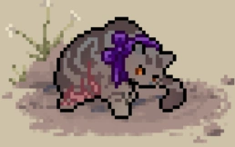 Amberstar (SC) | Warriors OC's Wiki | Fandom