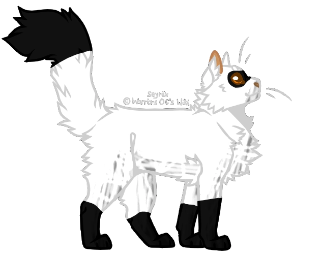 Finchwatcher (TSotS) | Warriors OC's Wiki | Fandom