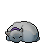 Poki | Warriors OC's Wiki | Fandom