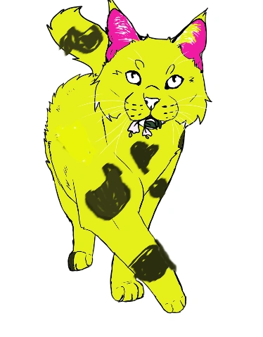 Leopardstorm | Warriors OC's Wiki | Fandom