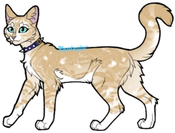 Pearl of BloodClan | Warriors OC's Wiki | Fandom