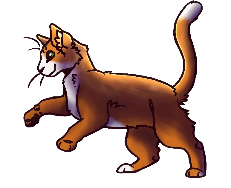 Squirrelpelt | Warriors OC's Wiki | Fandom