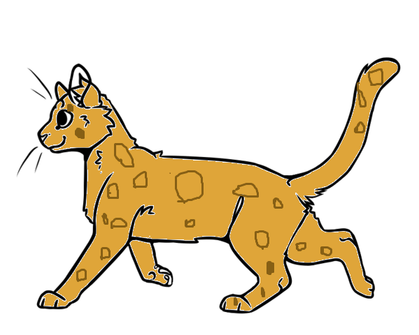 Leopardpau | Warriors OC's Wiki | Fandom