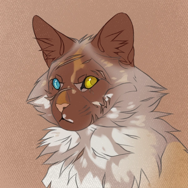Russetdawn | Warriors OC's Wiki | Fandom