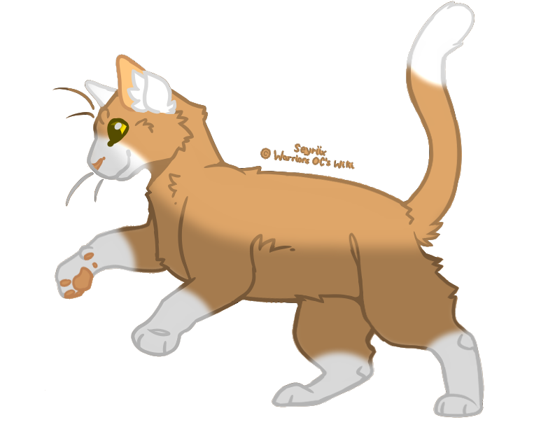 Reedpatch (LoS) | Warriors OC's Wiki | Fandom