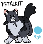Petalkit (TDS) | Warriors OC's Wiki | Fandom