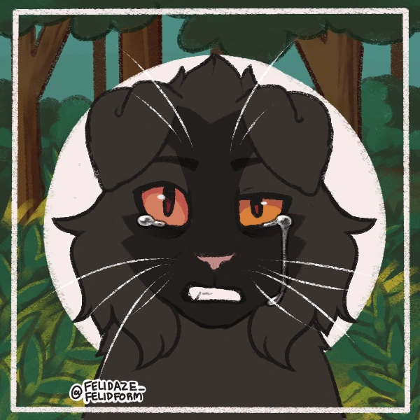 Webtongue (FS) | Warriors OC's Wiki | Fandom