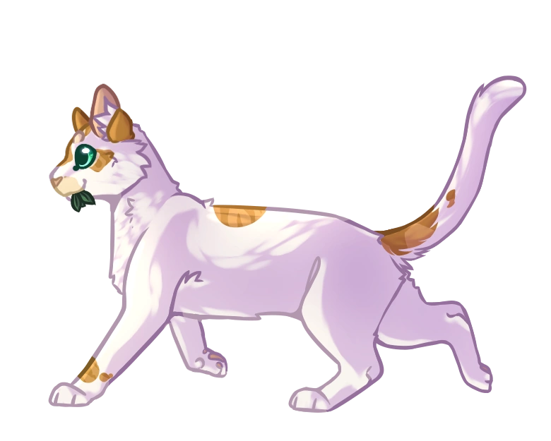 Cloudpaw | Warriors OC's Wiki | Fandom