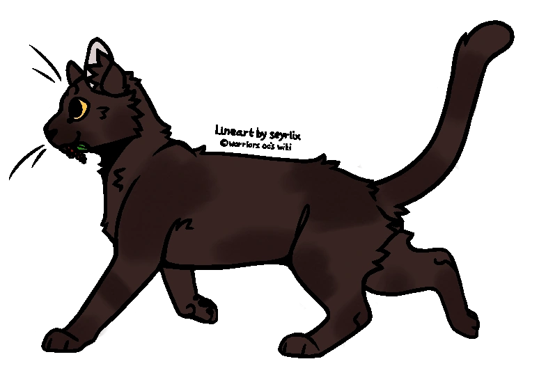 Toadpaw (NH) | Warriors OC's Wiki | Fandom