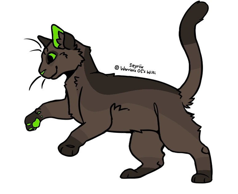 Mudsplash (FL) | Warriors OC's Wiki | Fandom